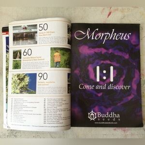 Other | Weed World Magazine Issue 14 | Poshmark
